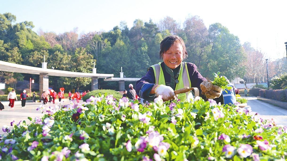 中心城区冬季绿化专项行动有序推进